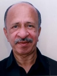 JF Fellow - The Japan Foundation, New Delhi